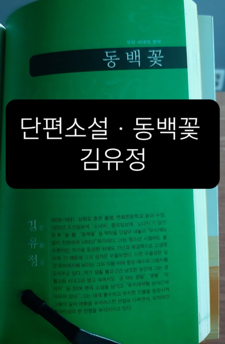 소설동백꽃김유정줄거리요약핵심정리기출문제 네이버 블로그