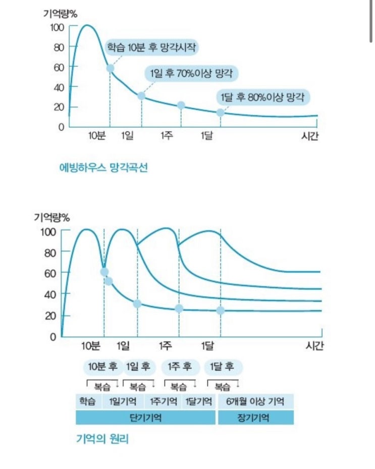 오산 세교 수학 숙제는 꼭 있어야 할까요 오산 수학을 책임지는 세교 알고리즘 수학 연구소에서 답해드립니다 세교고 매홀고