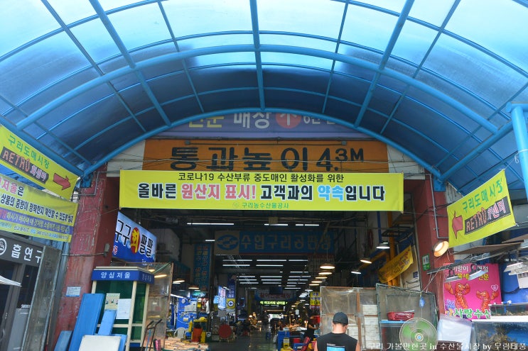 구리 가볼만한곳 구리농수산물시장에서 붕장어 샀어요 네이버 블로그