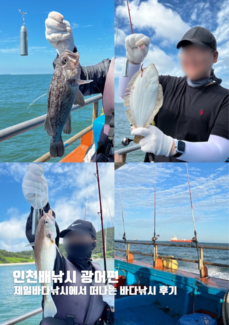 인천연안부두 제일바다낚시 자월도에서 즐기는 인천배낚시광어 개우럭 백조기 스팟 네이버 블로그