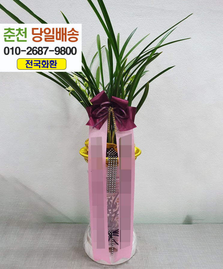 전국화환 춘천 인사이동 승진 취임 영전 축하의선물 최고의 가성비 에서 어서 준비하세요~만족하실만한 동양란 서양란 강추해요