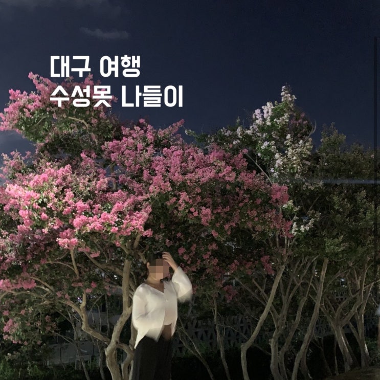 대구 수성못 나들이 야경 분위기 음악분수 오리배 주차장 후기 네이버 블로그