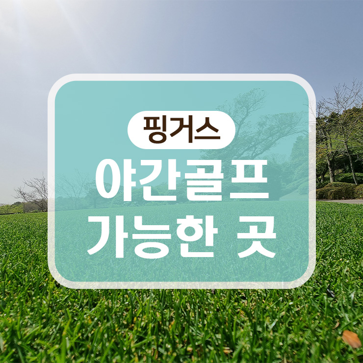 야간골프 가능한 곳 제주 테디밸리 골프장 네이버 블로그
