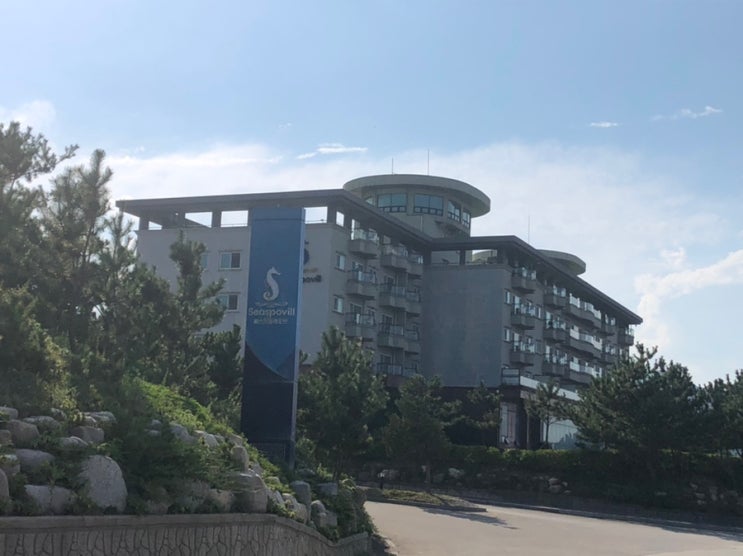 삼척 씨스포빌리조트 디럭스 숙박후기 수영장 조식 가격 오션뷰 네이버 블로그