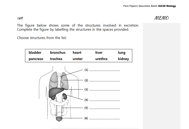 IGCSE Biology Topical Past Papers Topic 13. Excretion in Humans : 네이버 블로그
