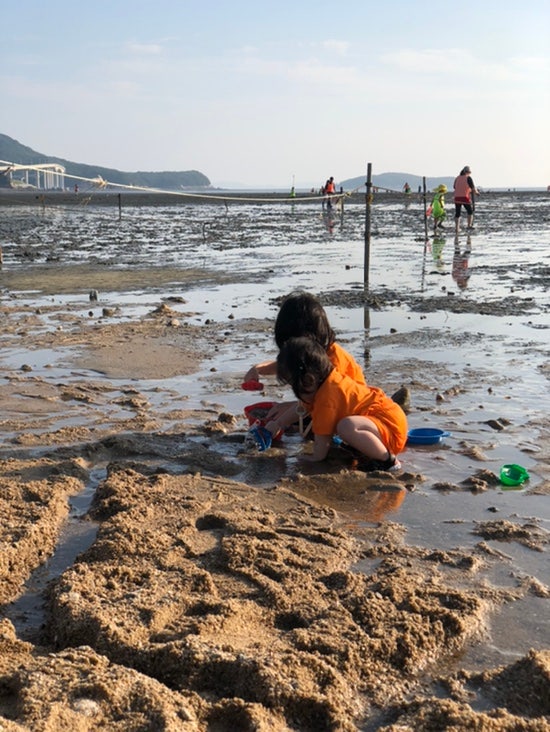 서울 근교 아기랑 갈만한 곳 마시랑 해변탐앤탐스 마시안점 주차후 모래놀이 갯벌체험 등 네이버 블로그