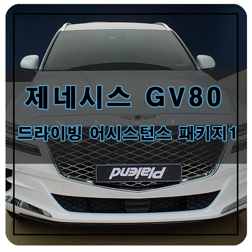 경남 창원 Gv80 드라이빙 어시스턴스 패키지1 순정 옵션 튜닝 네이버 블로그