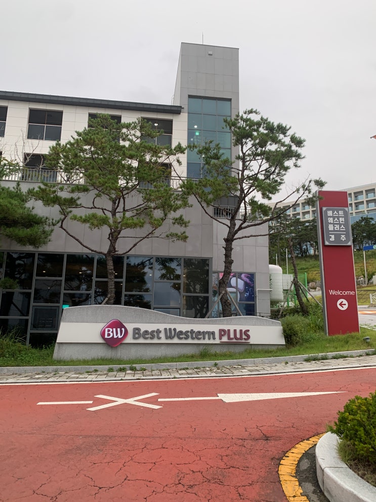 경주여행감포해수욕장호캉스베스트웨스턴플러스경주 방문 후기 네이버 블로그