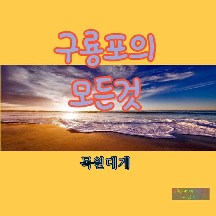 포항여행 구룡포의 모든것 사위사랑 사위질빵 으아리 여름꽃 : 네이버 블로그