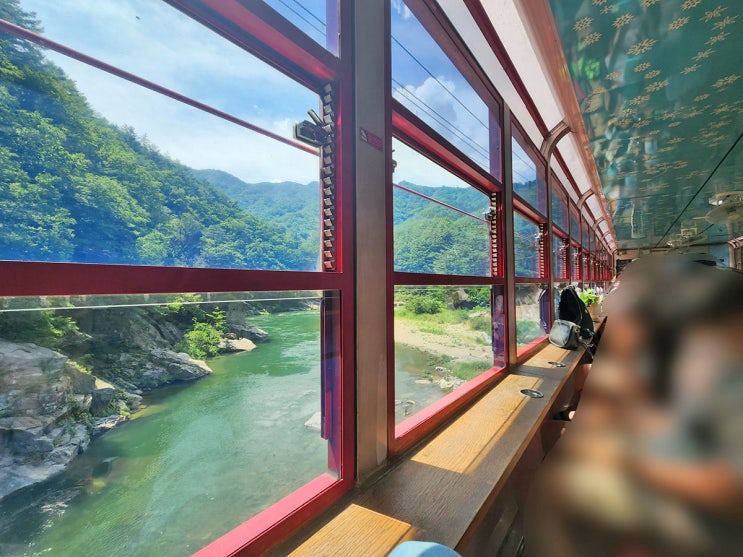 백두대간협곡열차 예매하고 분천역 산타마을 V트레인 열차여행하기! : 네이버 블로그