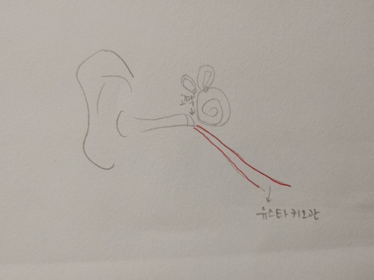 이관개방증 귀로 숨 쉬는 느낌이 들어서 둔산동 밝은이비인후과 다녀옴 네이버 블로그