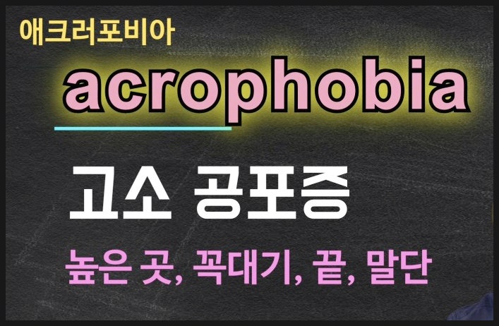 영단어 공포증 Phobia 광장공포증고소공포증밀실공포증폐소폐쇄공포증광견병공수병 네이버 블로그