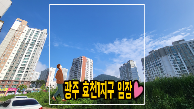 광주광역시 남구 효천1지구 임장기 Feat 부동산 생활권 상권 학군 매물 아파트 네이버 블로그