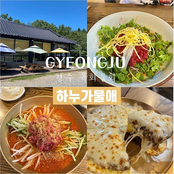 경주 하누가물애 함양집 분점인 육회물회 치즈불고기 맛집 네이버 블로그