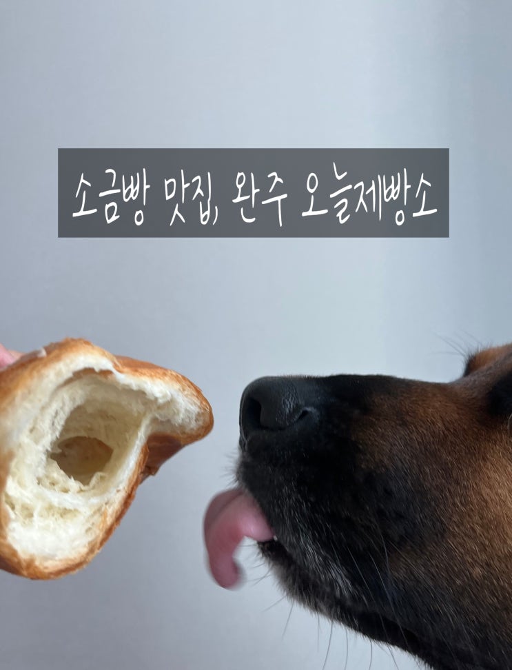완주 오늘제빵소 전주 근교 대형 베이커리 카페 추천 네이버 블로그