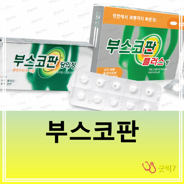 부스코판 당의정 플러스 차이점 효능 복용법 네이버 블로그