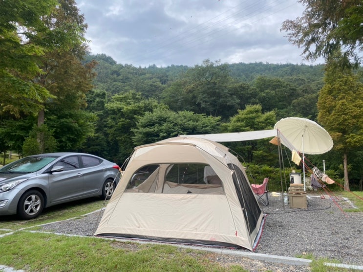 캠핑 울산 아이랑 함께하기 좋은 입화산 자연휴양림 야영장입화산 참살이 숲 제1오토 캠핑장사이트별 사진 네이버 블로그