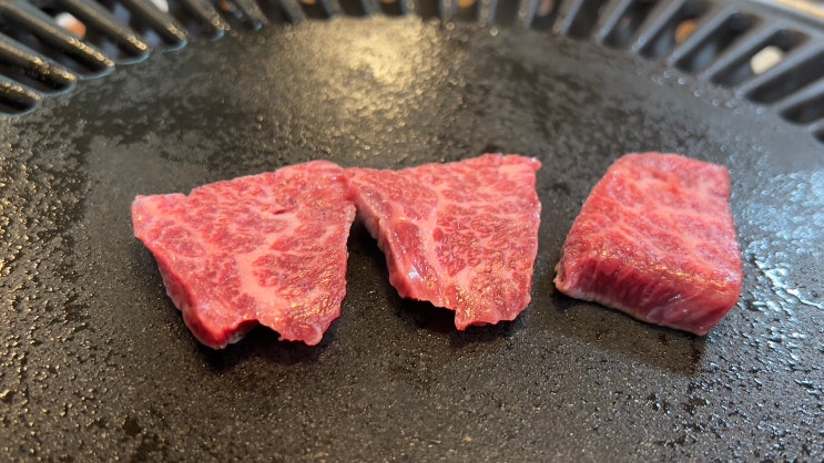 맛있는 홍성한우를 맛볼 수 있는 곳 홍성한우프라자 충남 홍성 네이버 블로그