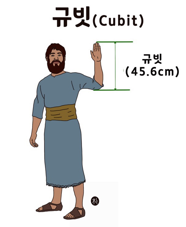규빗(אַמָּה-Cubit)-길이 : 네이버 블로그
