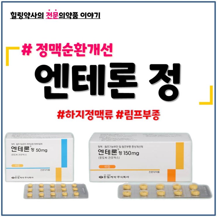 엔테론정 하지정맥류 림프부종 성분사용방법금기 및 주의사항 부작용이상반응 네이버 블로그