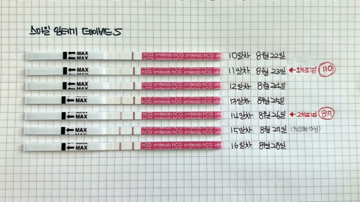 시험관1차 3일배양 2차피검수치 및 13일째~16일째 임테기역전확인스마일임테기 원포임테기 비교 네이버 블로그
