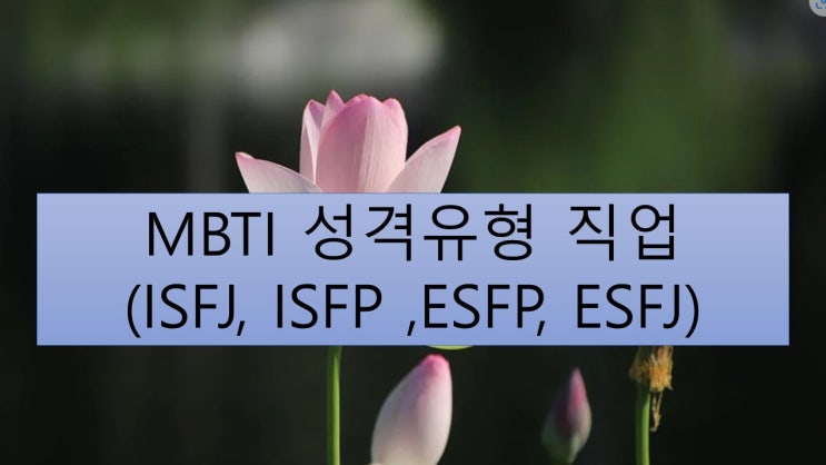ISFJ ISFP ESFP ESFJ 4가지 MBTI 성격유형 관련 직업 : 네이버 블로그