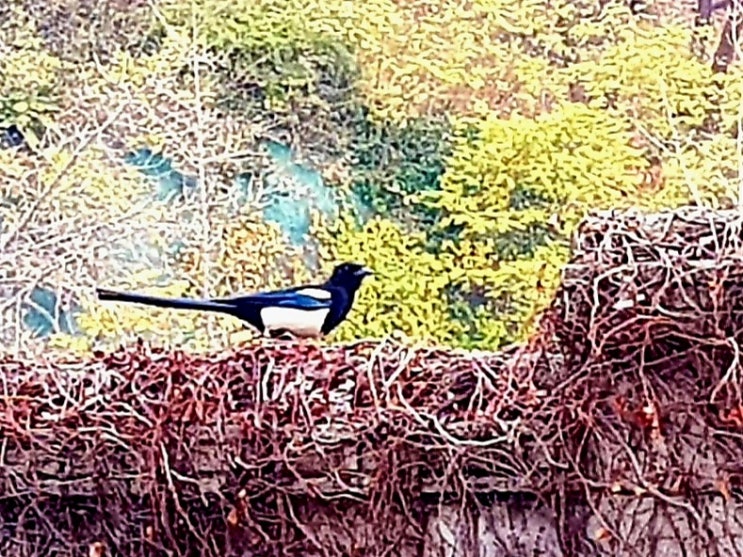 8월의 끝자락에서 안부를 전합니다 : 네이버 블로그