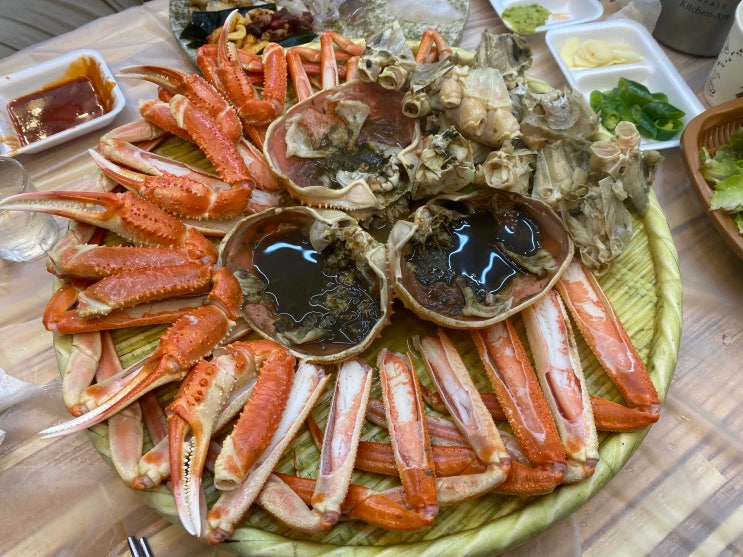 강원도 속초시 대포동 대포항 횟집 코스로 먹기 좋은 현희네활어횟집 네이버 블로그