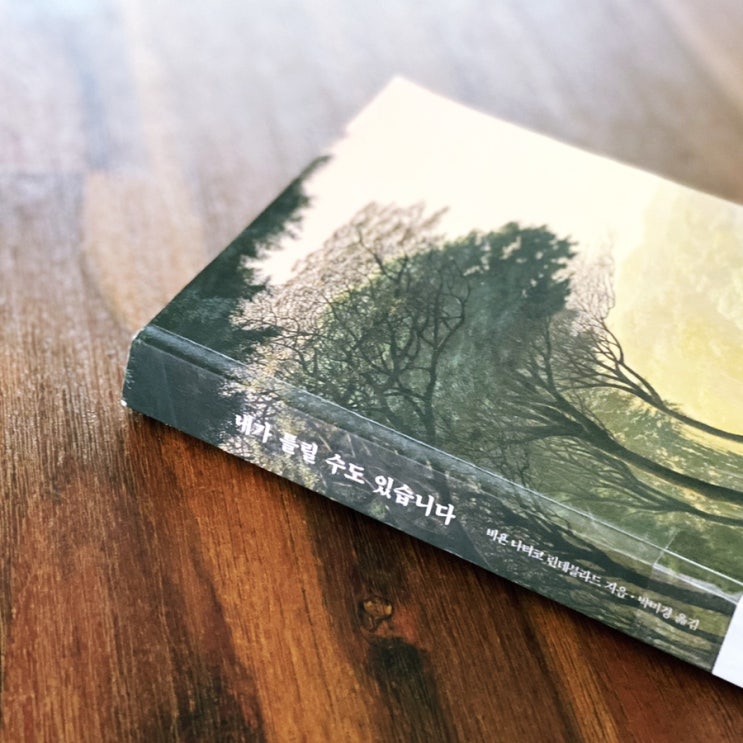 내가 틀릴 수도 있습니다(비욘 나티코 린데블라드)_책리뷰 : 네이버 블로그