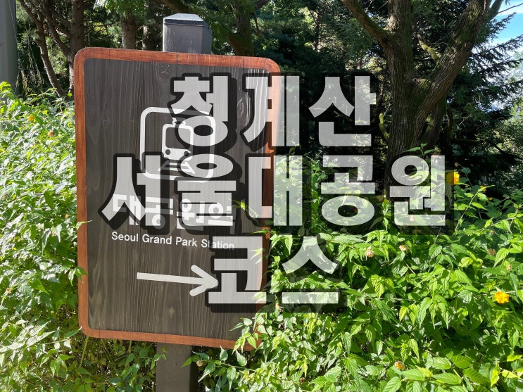 청계산 과천 서울대공원 코스 등산로 입구에서 매봉까지 네이버 블로그