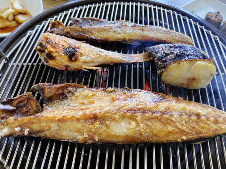 속초 신피디통큰생선구이에 맛있는 생선구이 먹으러 반려견과 함께 방문했어요 네이버 블로그