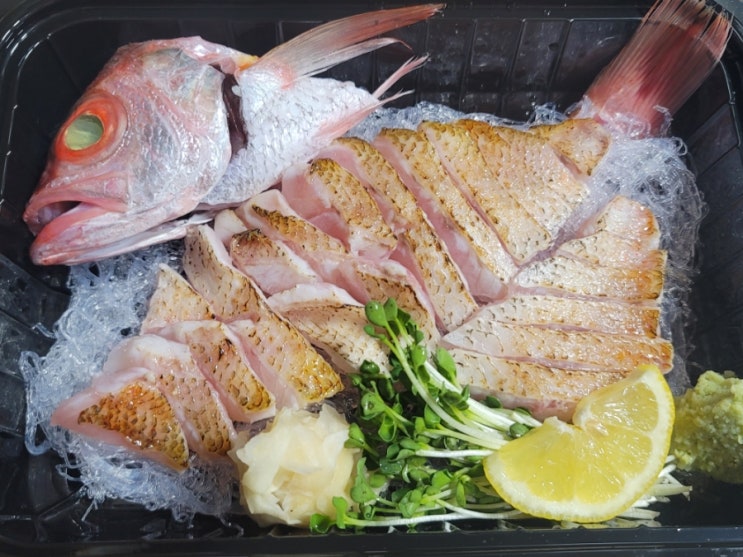 대전금태맛집 최고급부산금태 대전딱새우맛집 관저구시야끼 대전우니 대전성게알 한우육사시미 단새우 아마에비 호타테사시미 금태사시미
