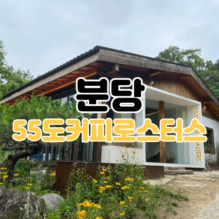 분당 카페 55도 커피로스터스 분당 숲 카페 분당 분위기 좋은 카페 추천 아이와 함께 가기 좋은 분당 카페