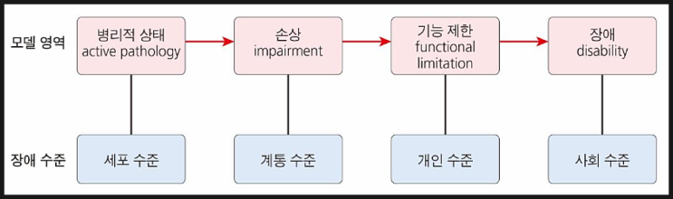 '장애 모델'과 분류 : Nagi model, ICIDH, NCMRR, ICF : 네이버 블로그