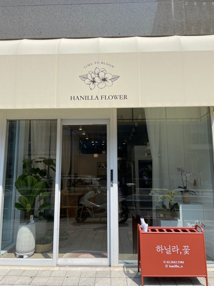 서울 강서구 꽃집 추천) 다양한 종류의 꽃들이 많은 “하닐라플라워” : 네이버 블로그