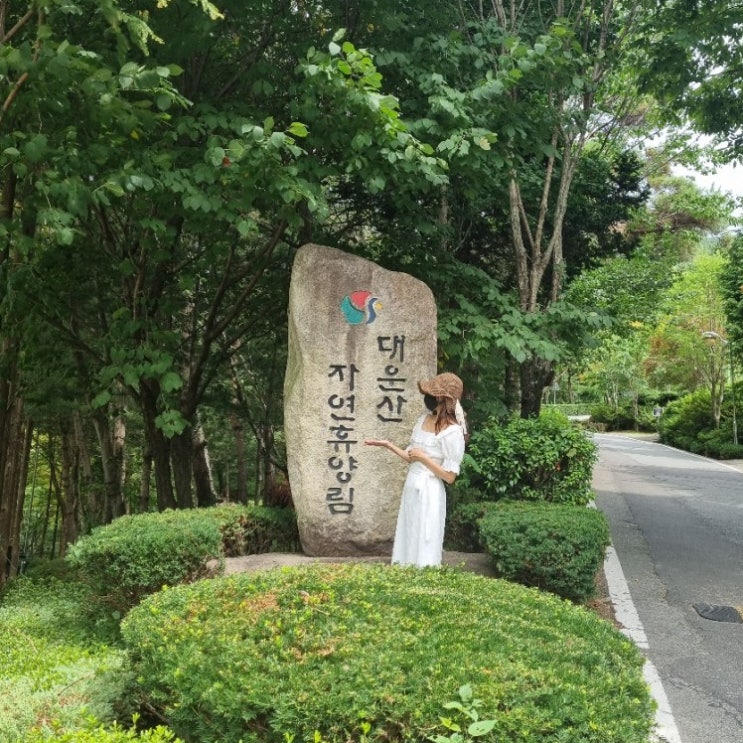 울산 계곡물놀이 텐트 오토캠핑장and카라반 양산 대운산자연휴양림 아이와가볼만한곳 네이버 블로그