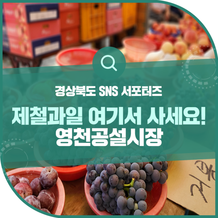 영천 여행 중 들르기 좋은 제철 과일 가득한 영천공설시장 네이버 블로그