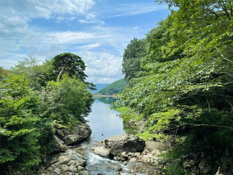 구례여행 자연 속으로 지리산 천은사泉隱寺 And 카페 천은사에서 미스터션샤인 촬영지 네이버 블로그
