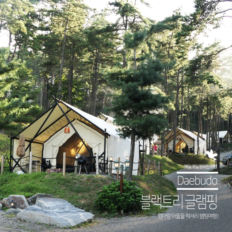 인천 대부도 글램핑 엄마랑 아들 럭셔리 글램핑 서울 근교 글램핑 블랙트리 글램핑장 네이버 블로그