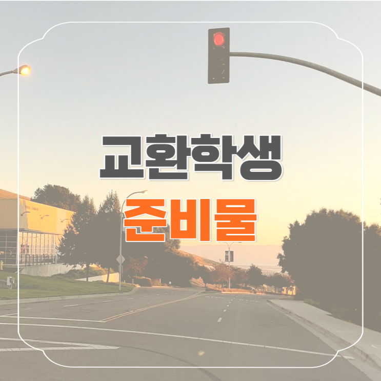 교환학생 갈 때 꼭 챙겨야 하는 것 한국음식 슬리퍼 입는 오버나이트 캐리어 커버 캐리어 안전 스트립 애플 3 In1
