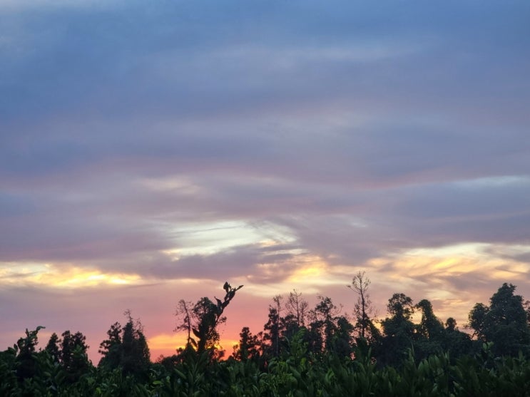 제주 라이프 태풍 전야제 빨간노을 : 네이버 블로그