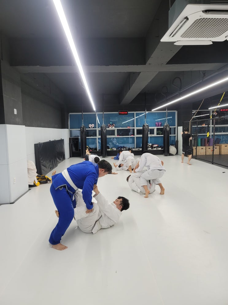 폭스멀티짐 누구나 배울 수 있는 주짓수 체육관 스파링 운동효과 네이버 블로그
