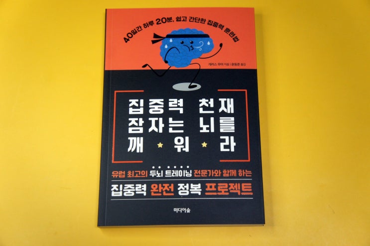자기계발서 집중력 천재 잠자는 뇌를 깨워라 네이버 블로그