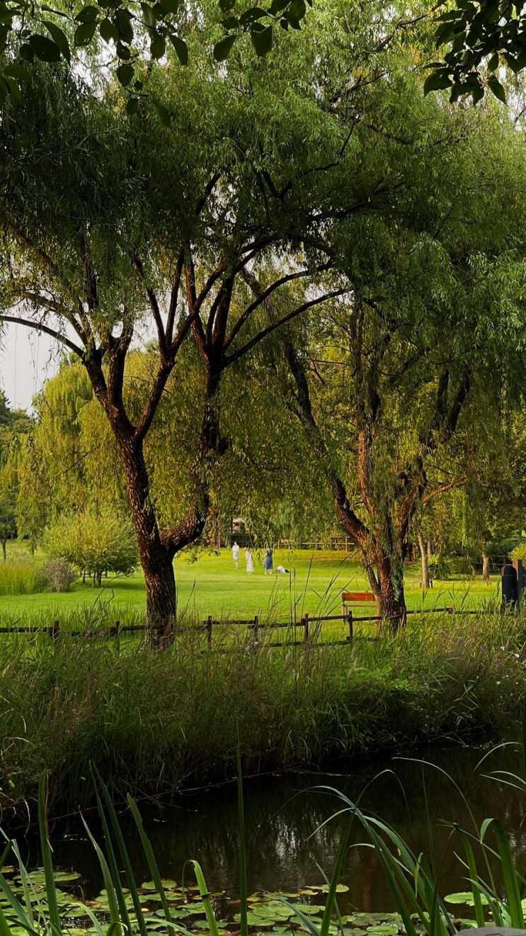오랜만 : 네이버 블로그
