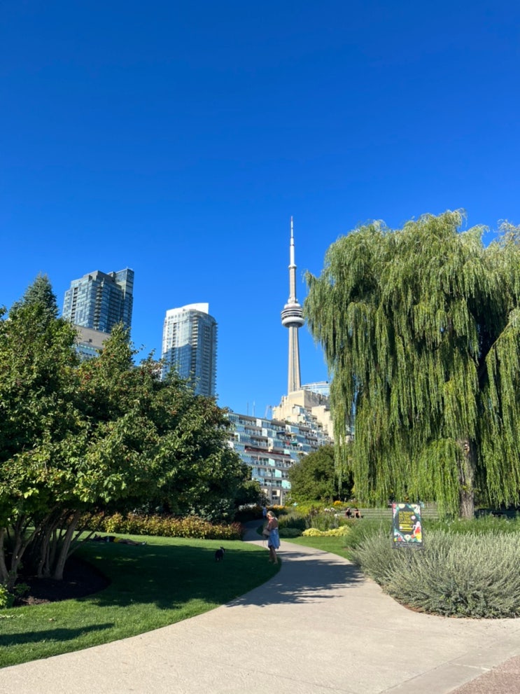 [토론토여행] H mart 구경, Bloor Street, 스트리트 카, Toronto Music Garden, HTO ...