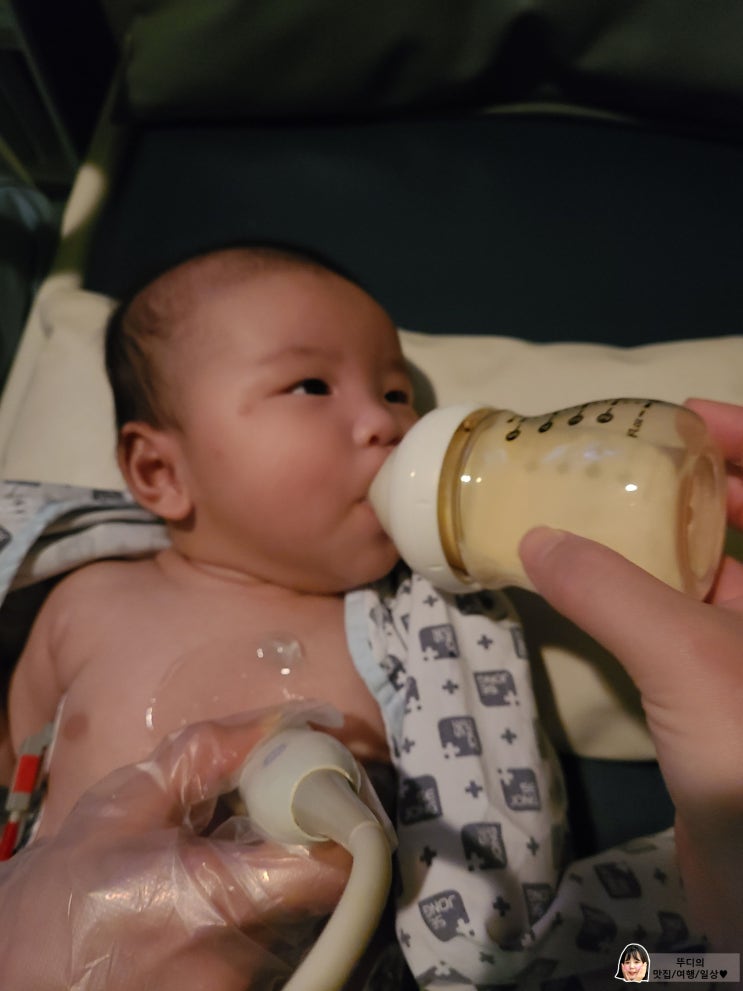 신생아 심잡음 심방중격결손 및 폐동맥분지협착증 진단 부천 세종병원 네이버 블로그