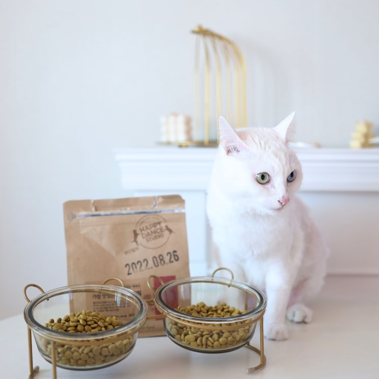 고양이 헤어볼 사료 하림펫푸드 가장 맛있는 시간 30일 마약사료인걸 네이버 블로그