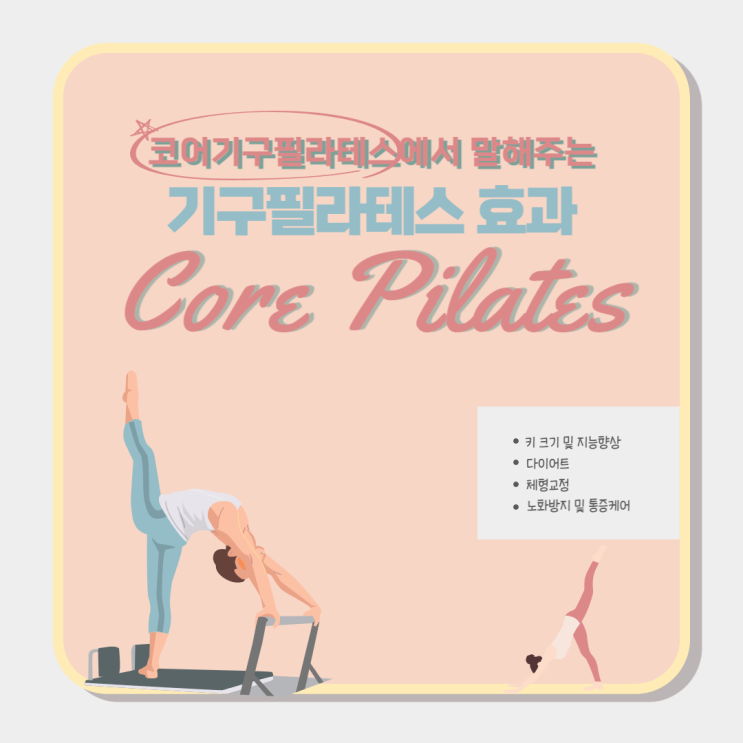 기구 필라테스 시작 전 확실히 알고 가는 기구 필라테스의 효과🙆♀️ 네이버 블로그