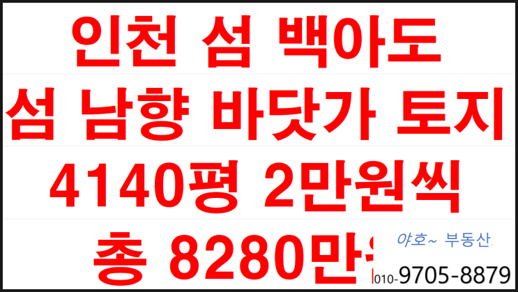 인천 섬 백아도 임야 평당2만원 4140평 총 8280만원 바다조망 바닷가 자연인 부동산 토지 투자 땅 매매 인천시 옹진군