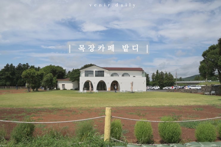 아이랑 제주 가볼만한 곳 ‘목장카페 밭디 카페승마체험먹이주기이색자전거 체험 가능한 곳남녀노소 추천 네이버 블로그
